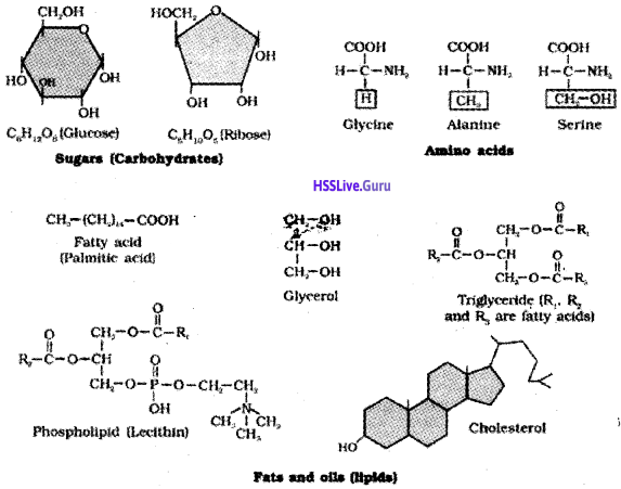 Plus One Zoology Notes Chapter 4 Biomolecules - HSSLive